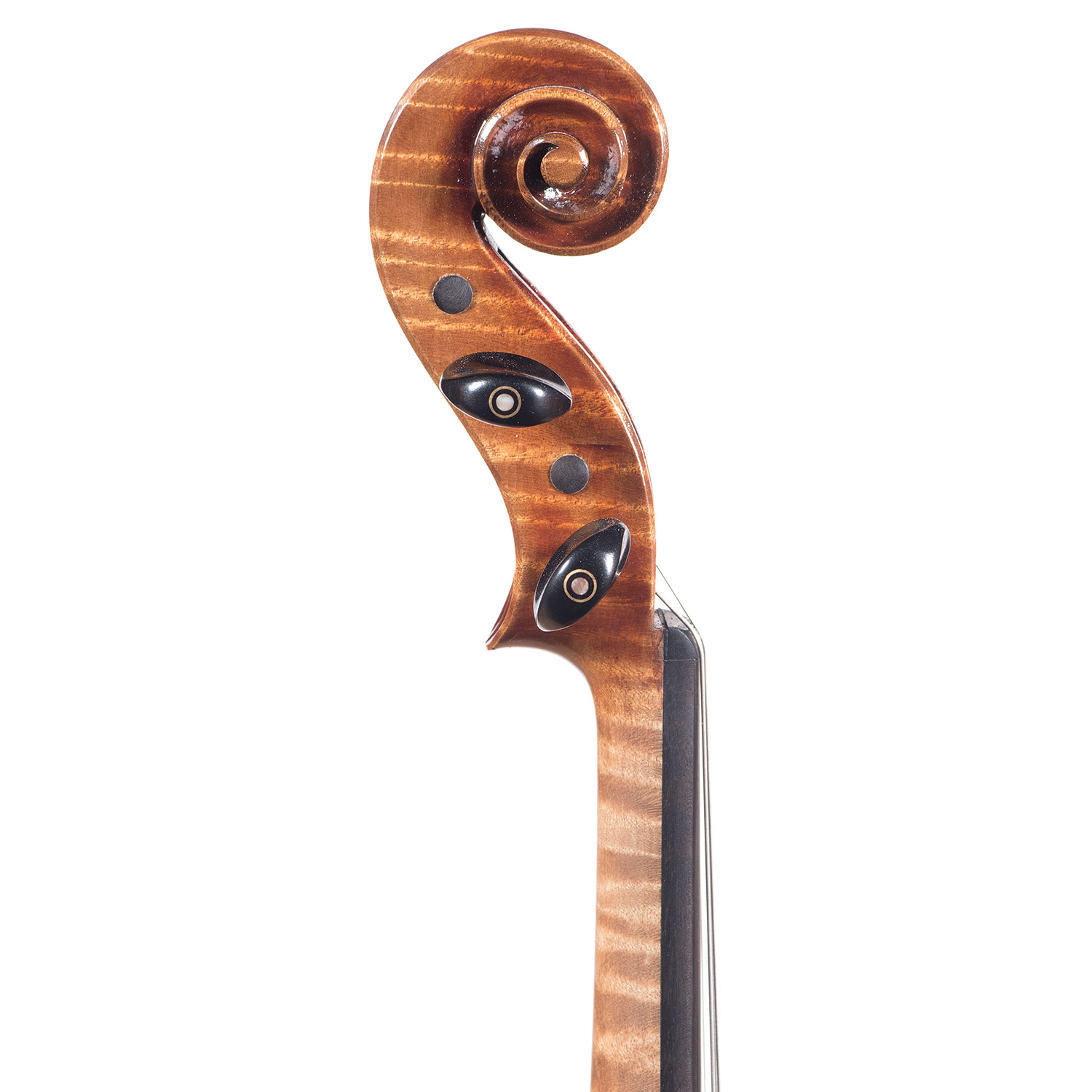 4/4 Snow PV900 Model Violin | Johnson String Instrument